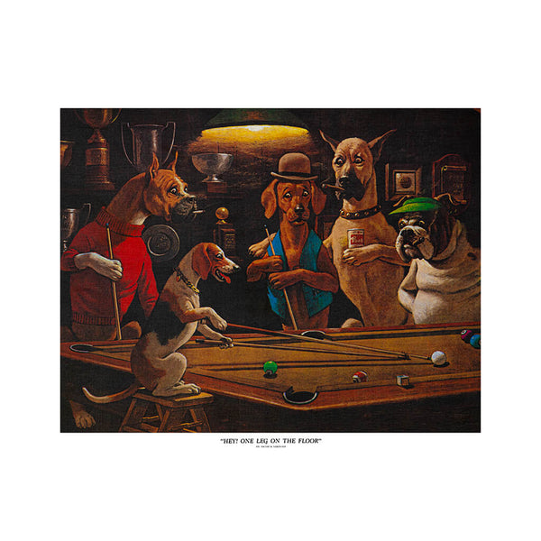 HEY ONE LEG ON FLOOR 16"X20" POSTER – Canada Billard